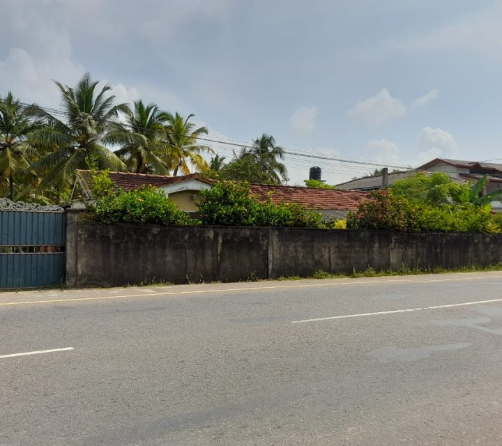 Prime Land for Sale in Mirissa – www.slp.lk – Sri Lanka Properties